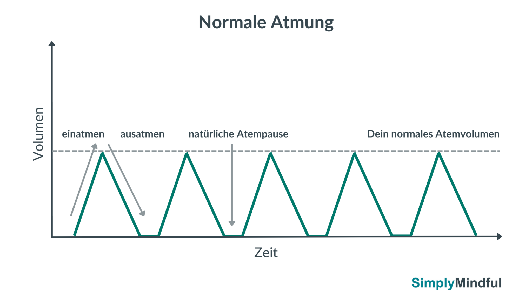 BOLT Test: Anleitung zur Messung deines BOLT-Werts für bessere ...