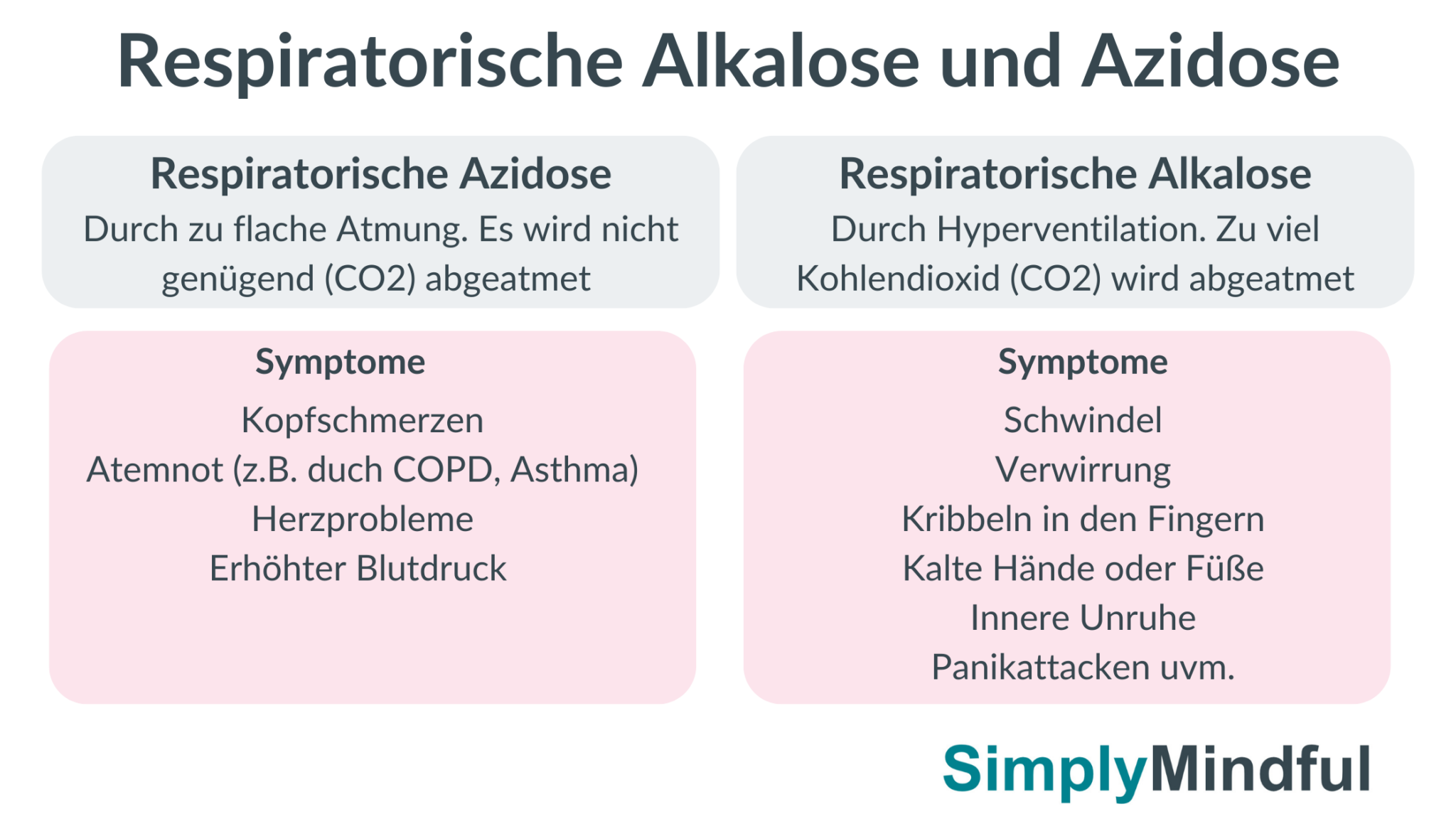 Bohr-Effekt: Wie CO₂ die Sauerstoffaufnahme verbessert und deine ...